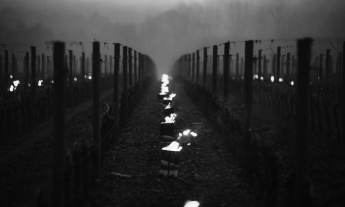 The first canadian candle manufacturer, since 1896 - Chandelles ...